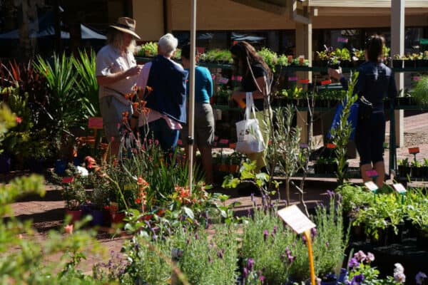 Kalamunda Markets | Kalamunda Chamber of Commerce
